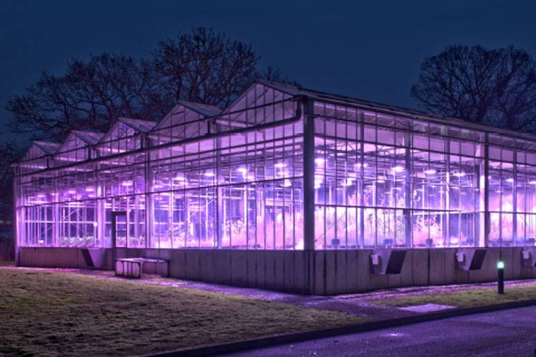 Space Inspired Speed Breeding For Crop Improvement Earlham Institute